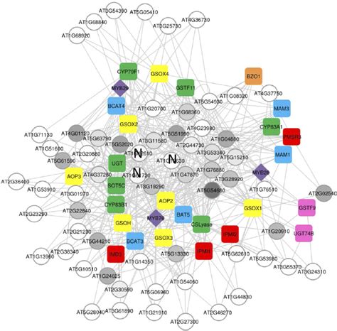 Spring Embedded Network Linking Tfs And Promoters Via Their