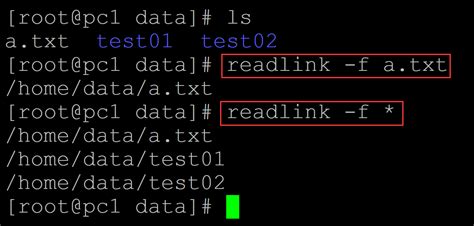 linux 中如何输出文件或者目录的绝对路径 小鲨鱼 博客园