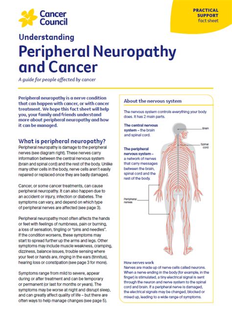 Peripheral Neuropathy Cancer Council Act