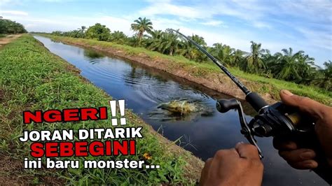 GANAS BUKAN MAIN Haruan Besar Sambar Umpan Abu Garcia Promax 3