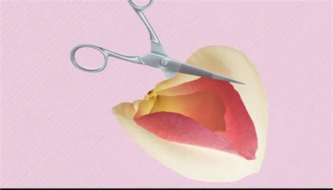 Rev Up Your Sex Life With Vaginal Rejuvenation Aesthetic Medical Clinic Urogynecology And