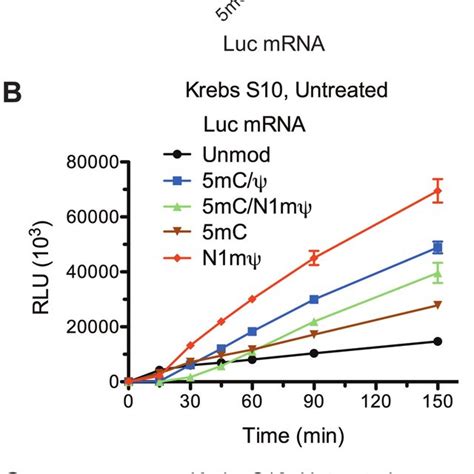 Pdf N1 Methyl Pseudouridine In Mrna Enhances Translation Through Eif2α Dependent And