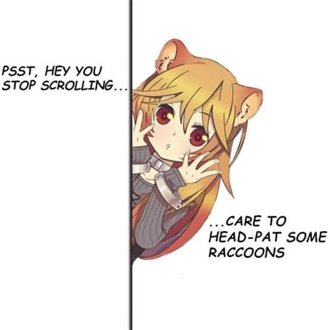 Press F To Headpat Raphtalia ლ╹ ╹ლ Rshieldbro