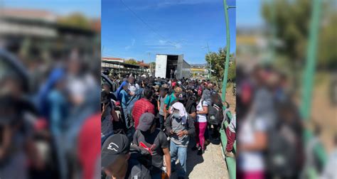 Identifica Inm A 269 Migrantes Extranjeros Que Viajaban En Caja De