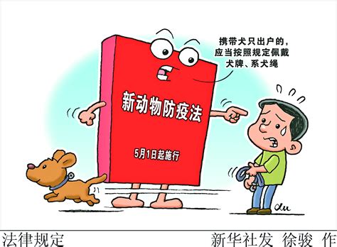 犬事纳入基层治理才能少生事