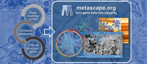 Metascape A Biologist Oriented Gene List Analysis Resource