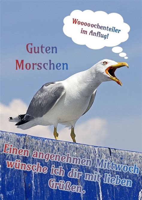 Pin Auf Moin In 2024 Mittwoch Sprüche Lustig Lustige Guten Morgen