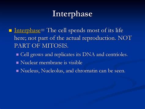 Mitosis And The Cell Cycle Ppt Download