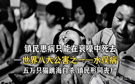 水银温度计为何在2026年停产 知乎