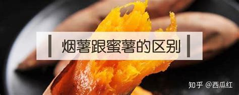 烟薯25和蜜薯的区别 烟薯25批发哪里最便宜？ 知乎