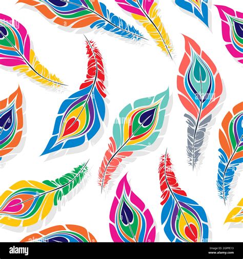 Colorful Peacock Feather