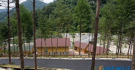 인제 추석연휴 웰빙 자연휴양림 인기 절정