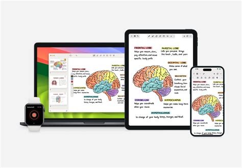 noteshelf noteshelf review paperlike