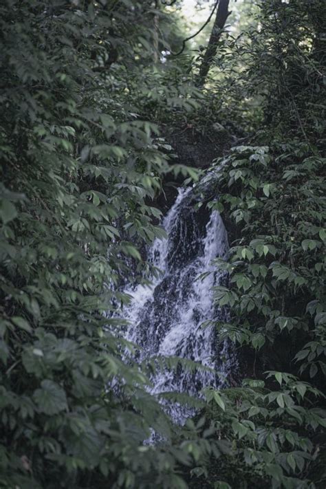 全程手腳並用的攀爬旅程 嘎色鬧部落上那是山那結山 健行筆記