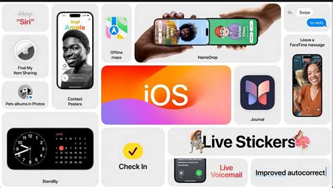 The Role Of Management Artifacts In Apples Ios Development Process