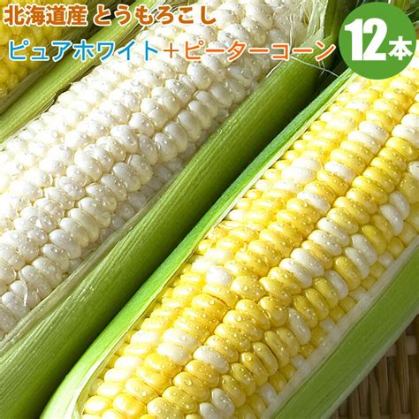 【楽天市場】北海道産野菜 とうもろこし とうもろこし 品種で探す ピュアホワイトとうもろこし：北海道マルシェ