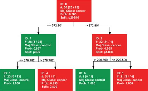 A Decision Tree Showing That The 50 Sample Dataset Can Be Discriminated