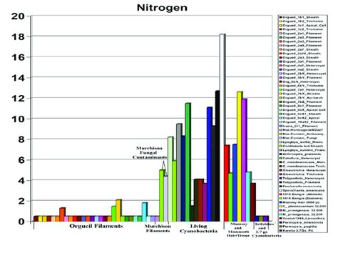 Nitrogen Content Of Filamentous Microstructures In The Orgueil And Download Scientific Diagram
