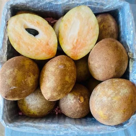 Tropical Sapodilla Fruit Box Buy Fresh Zapote Chico Fruits In Canada