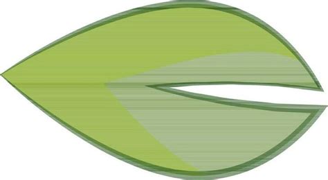 3 Leaf Vector Art Icons And Graphics For Free Download