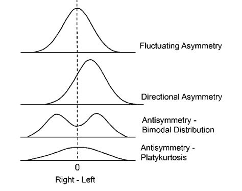 Asymmetrical Distribution