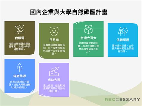 農業部推自然碳匯，台積電、台灣大都搶進！海岸造林、紅樹林怎麼轉換碳權？ Csrone 永續智庫