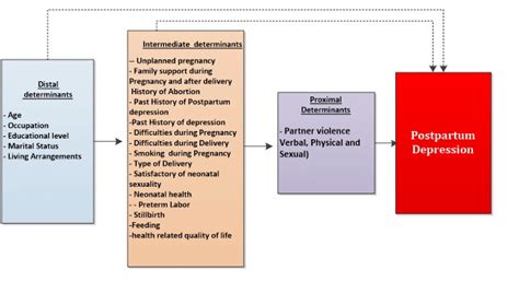 Conceptual Framework Illustrating The Hierarchical Model Of Risk