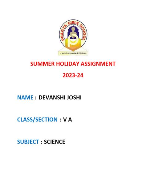 Summer Holiday Assignment Pdf