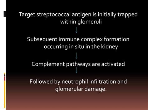 Ppt Post Infectious Glomerulonephritis 78 Powerpoint Presentation