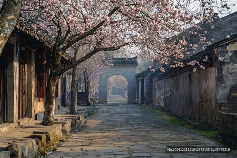 AI创作图乌镇春早 乌镇石板路 古村巷道夕阳 桃花巷 古镇桃花 春季乌镇 乌镇水巷清晨 春色乌镇 古镇的春天 宋代村街 古镇春景 古建筑旁的