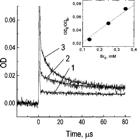 Transient Absorption Kinetics Observed At Long Time Scale At Nm In