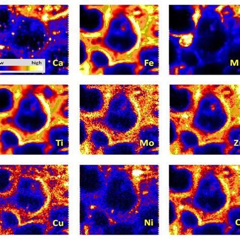 Micro XRF Maps Of Selected Major And Trace Elements For The Area Marked