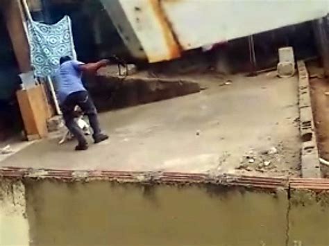 G1 Fiquei nervoso diz homem que chicoteou cães em Poços de Caldas