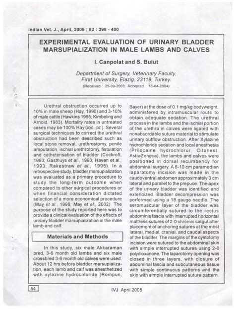 Pdf Experimental Evaluation Of Urinary Bladder Marsupialization In Male Lambs And Calves