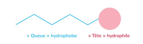 Solubilité Et Miscibilité Dune Espèce Chimique 1ère Cours Physique