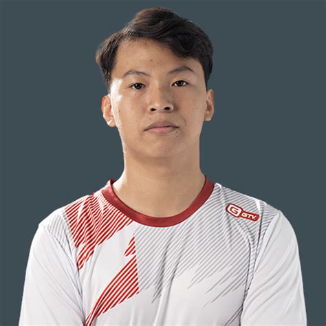Van Hoang Melu Do S Counter Strike Player Profile