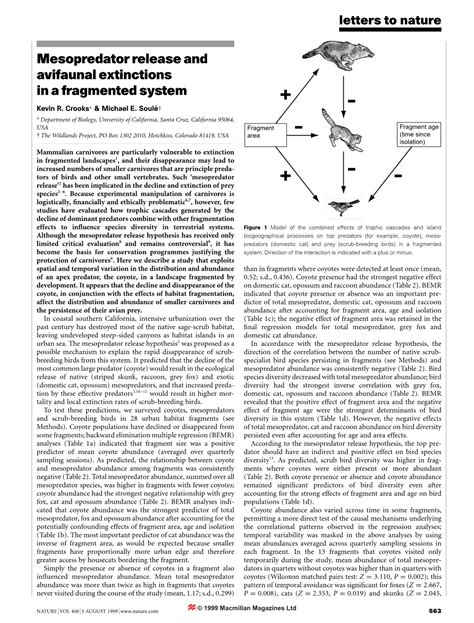 Mesopredator Release And Avifaunal Extinctions In A Fragmented System Docslib