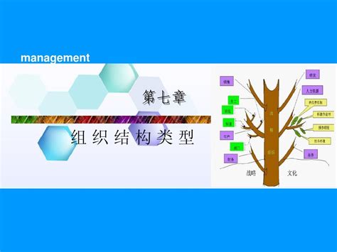 第七章组织结构类型word文档在线阅读与下载无忧文档 第七章组织结构类型word文档在线阅读与下载无忧文档