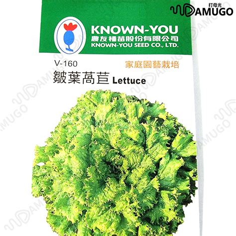 【蔬菜種子】萵苣 皺葉萵苣 萵苣種子 菜種子 種子 農友種子 農友 蝦皮購物