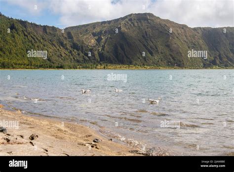 Landscapes And Views And Nature Of The Azores Sao Miguel Ponta Delgada Mosteiros Sete Cidades