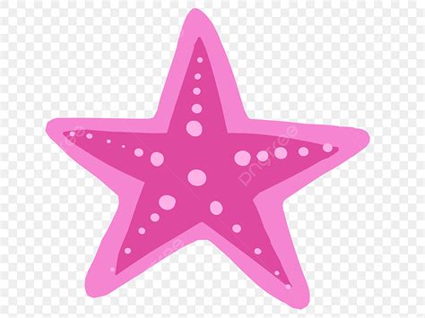 Rosa Estrella De Mar Png Vectores Psd E Clipart Para Descarga Images