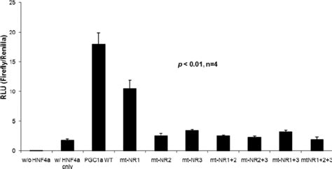 Measurement Of Transactivation Potential Exerted By The Pgc 1 ␣ Mutants Download Scientific