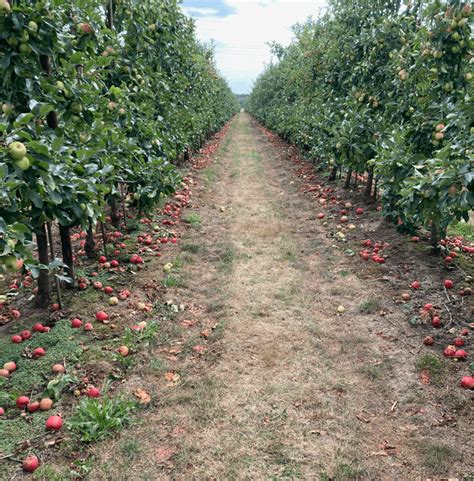 effective and idiomatic error handling in kotlin tutorial by dr