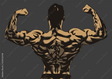 Muscles Vector Illustration Stock Vector Adobe Stock