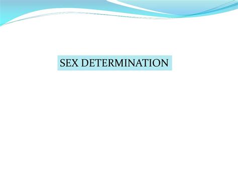 PPT SEX DETERMINATION PowerPoint Presentation Free Download ID 850134