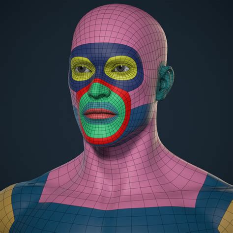 Female Head Basemesh Game Ready CGTrader