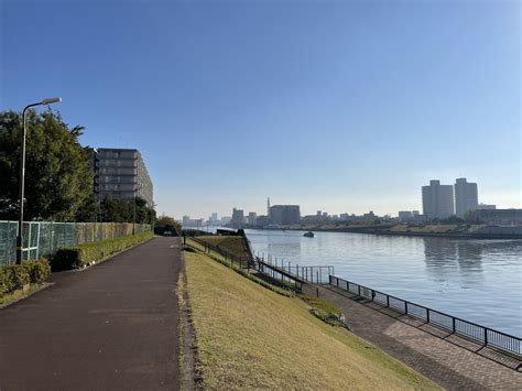 2020年