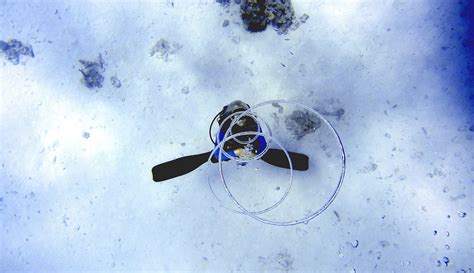 Weekly Selection — May 25 2018 The Need And Importance Of Model By Tds Editors Towards