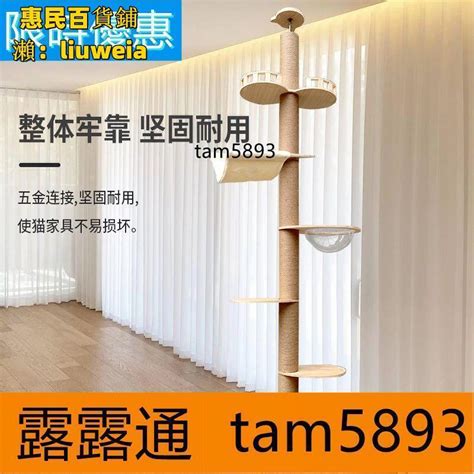 現貨免運】貓爬架 通天柱頂天立地貓跳臺貓架子 實木松木穩固貓抓柱貓窩貓跳臺 露天市集 全台最大的網路購物市集