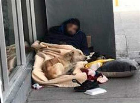 Localizan sin vida a hombre en situación de calle acompañado de su perrito Notigram